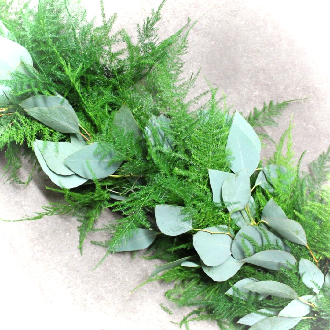 Our Products - Underhill Ferneries - Quality Cut Foliage
